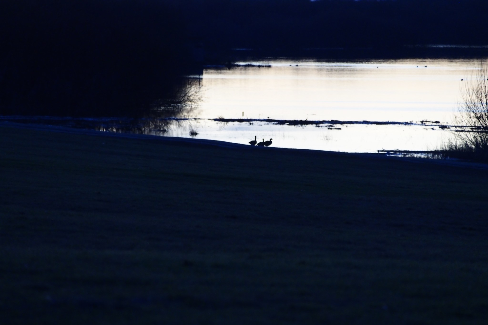 Big Dog, Big Volcano – Birdmilk's RPG Cafe